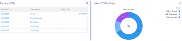 Optimizing the Patient Intake Management Process in Salesforce